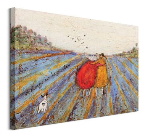 Obraz na płótnie Sam Toft A Day in Lavender obrazy na ścianę 80x60 cm ...