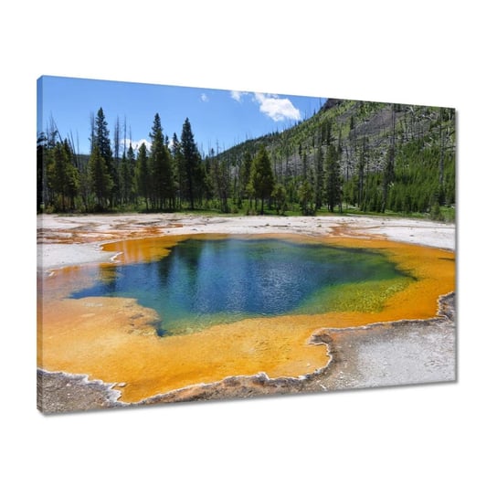 Obraz Park Yellowstone, 70x50cm - ZeSmakiem | Sklep EMPIK.COM