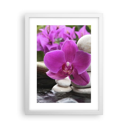 Obraz - Plakat - Już odpoczywasz - 30x40cm - Kwiaty Bambus Orchidea - Foto Plakaty na ścianę w ...