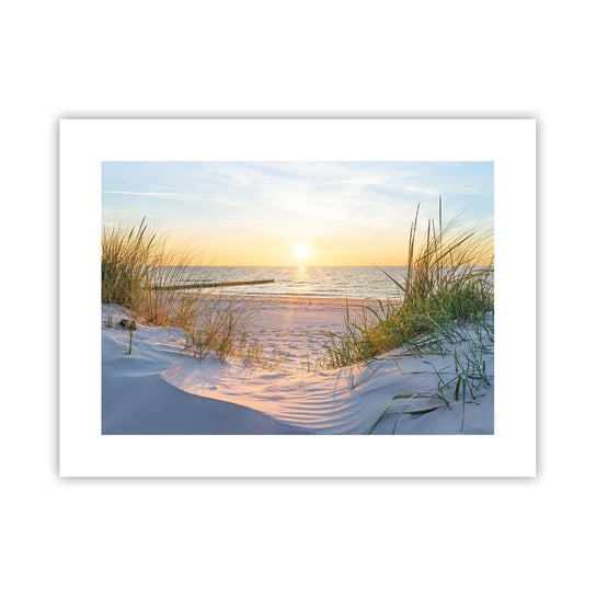 Obraz - Plakat - Morza szum, ptaków śpiew, dzika plaża pośród traw ...