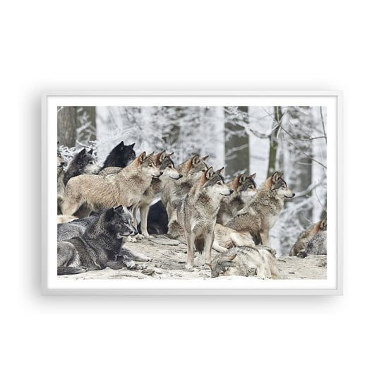 Obraz - Plakat - Rodzina i przyjaciele - 91x61cm - Wataha Wilków Wilki ...