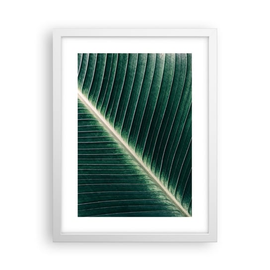 Obraz - Plakat - Rytm natury - 30x40cm - Abstrakcja Zielony Liść ...