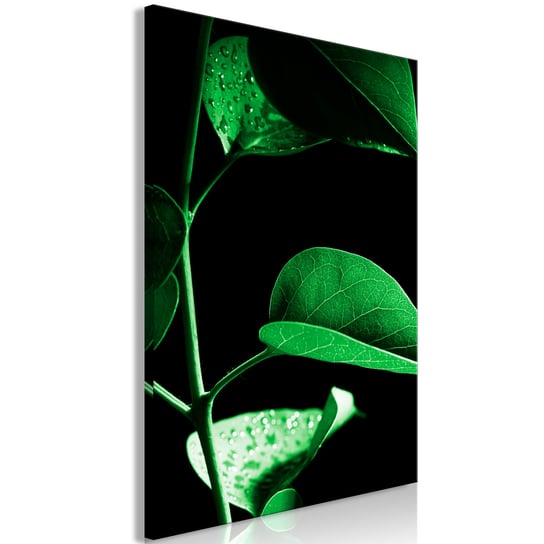 Obraz - RoĹ›lina w czerni (1-częściowy) pionowy 40x60 Premium Print ...