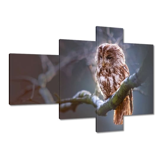 Obraz Sowa na gałęzi Drapieżnik, 100x70cm - ZeSmakiem | Sklep EMPIK.COM