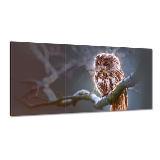 Obraz Sowa na gałęzi Drapieżnik, 60x30cm - ZeSmakiem | Sklep EMPIK.COM