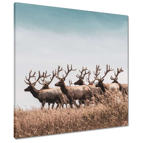 Obraz Stado jeleni, 60x60cm - ZeSmakiem | Sklep EMPIK.COM