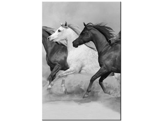 Obraz Stado w burzy piaskowej, 40x60 cm - Oobrazy | Sklep EMPIK.COM