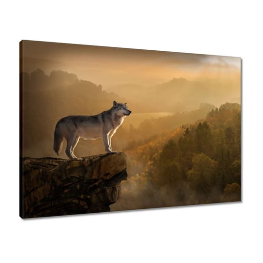 Obraz Wilk Wilki Wolf, 70x50cm - ZeSmakiem | Sklep EMPIK.COM