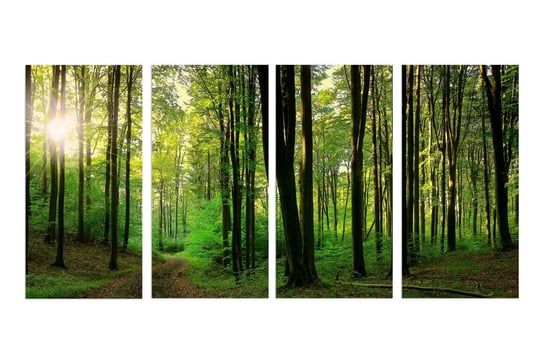 Obrazy na ścianę Zielony Las Duży obraz do salonu sypialni Dekoracja ...