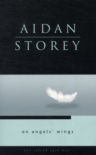 On Angels Wings - Aidan Storey | Książka w Empik