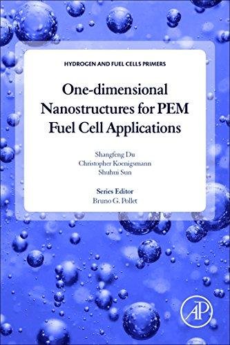 One-dimensional Nanostructures for PEM Fuel Cell Applications ...