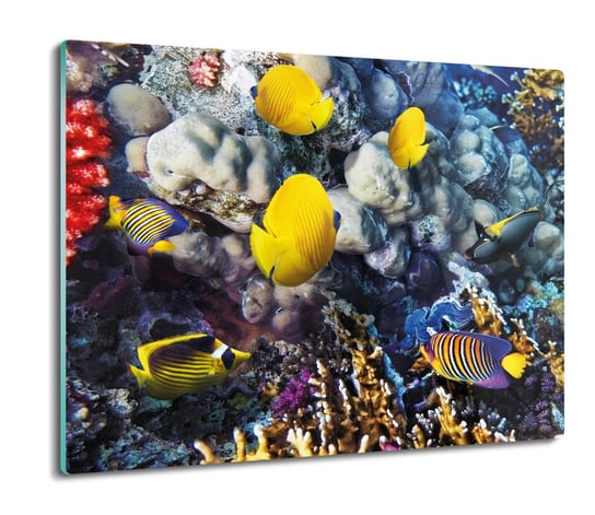 osłonka kuchenna z grafiką Ryby rafa woda 60x52, ArtprintCave ...