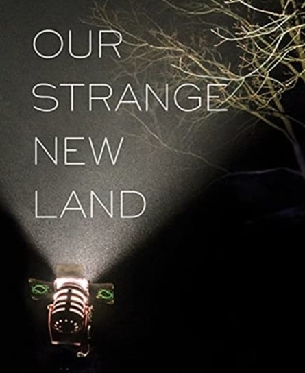 Our Strange New Land: Photographs from Narrative Movie Sets Across the ...