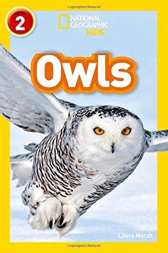 Owls: Level 2 - Opracowanie zbiorowe | Książka w Empik