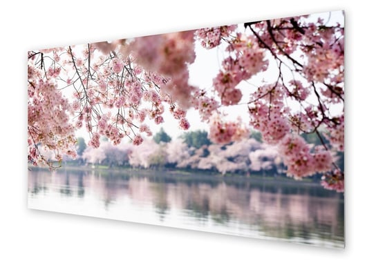 Panel kuchenny HOMEPRINT Kwiat wiśni nad Tidal Basin 140x70 cm ...