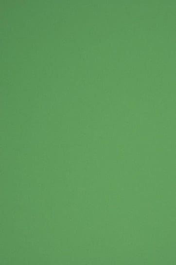 Papier ozdobny gładki kolorowy A4 c. zielony Rainbow R78 230g 20 ark. - na certyfikaty wizytówki ...