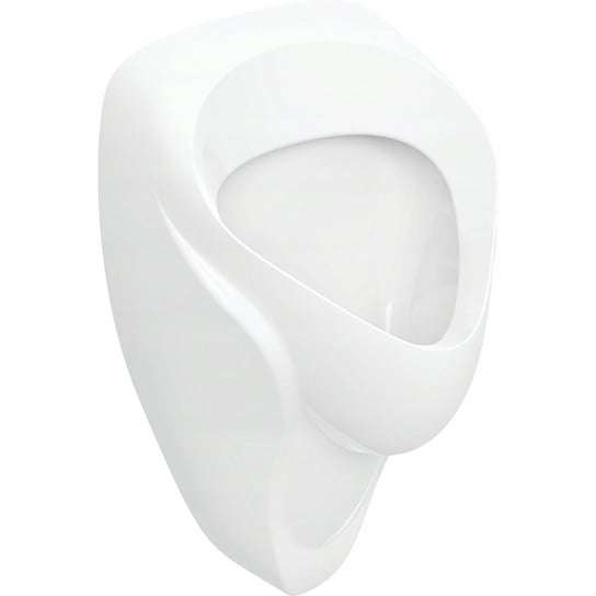 Pisuar Na Stelażu, Ścienny Geberit Odpływ Poziomy - Inna marka | Sklep ...