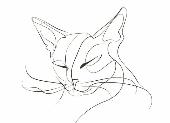 Plakat 55x40cm Linijny Kot - Inna marka | Sklep EMPIK.COM