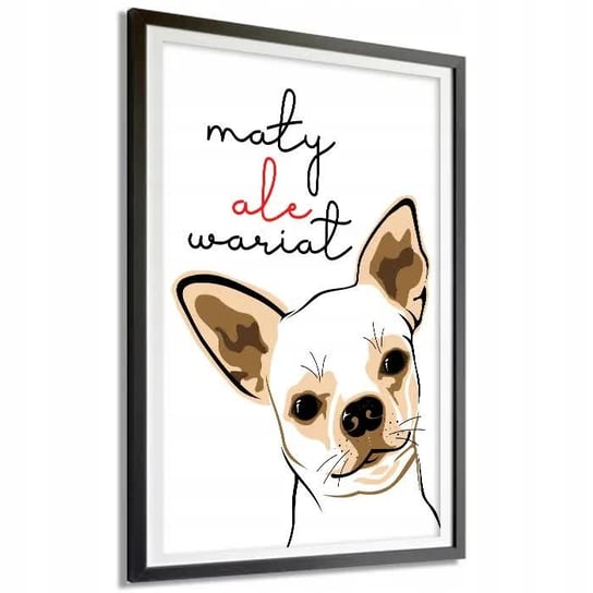 PLAKAT A3 29,7x42cm MAŁY ALE WARIAT Funny Wzory - Inna marka | Sklep ...