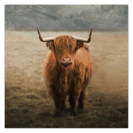 Plakat Bydło rogate, 30x30 cm - ZeSmakiem | Sklep EMPIK.COM
