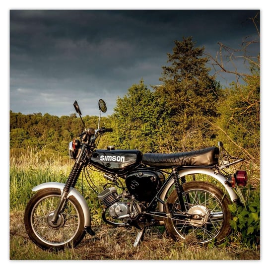 Plakat Czarny Simson, 100x100 cm - ZeSmakiem | Sklep EMPIK.COM