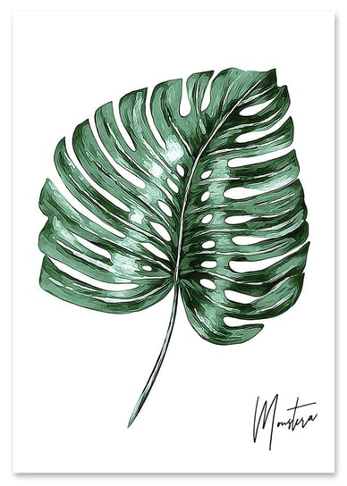 Plakat monstera podpis 40x50 cm - Hog Studio | Sklep EMPIK.COM