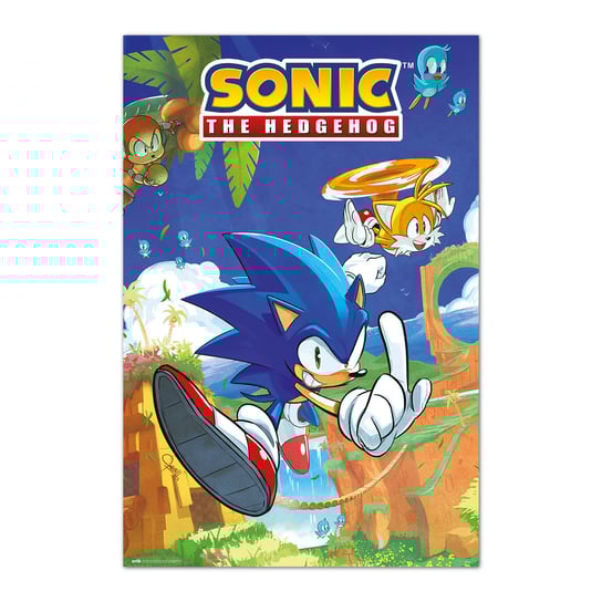 Plakat na ścianę Sonic The Hedgehog Plakaty dla dzieci 61x91,5 cm ...