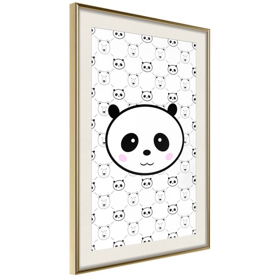 Plakat - Pandy i niedĹşwiedzie [Poster] 30x45 Rama złota z passe ...