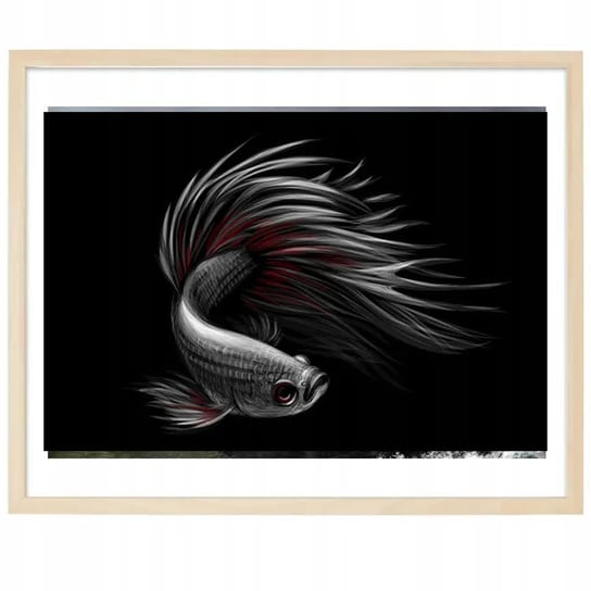 PLAKAT Poziomy Obraz 30x40cm RYBA Bojownik Wzory - Inna marka | Sklep ...
