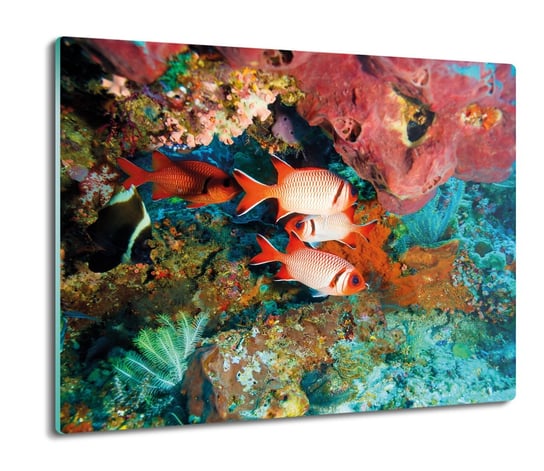 płyty ochronne na indukcję Ryby rafa woda 60x52, ArtprintCave ...