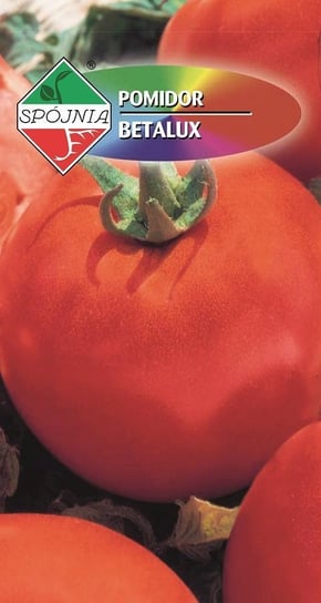Pomidor gruntowy Betalux 0.5 g SPÓJNIA - Inna marka | Sklep EMPIK.COM