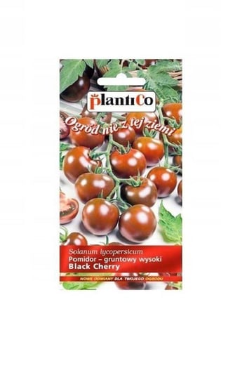 Pomidor gruntowy Black Cherry 0,2 g Plantico - Inna marka | Sklep EMPIK.COM