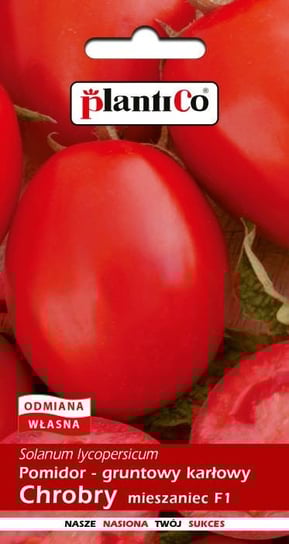 Pomidor gruntowy Chrobry F1 0.5 g PLANTICO - Inna marka | Sklep EMPIK.COM