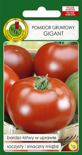Pomidor Gruntowy Gigant Soczysty Nasiona Bez Gmo - PNOS | Sklep EMPIK.COM