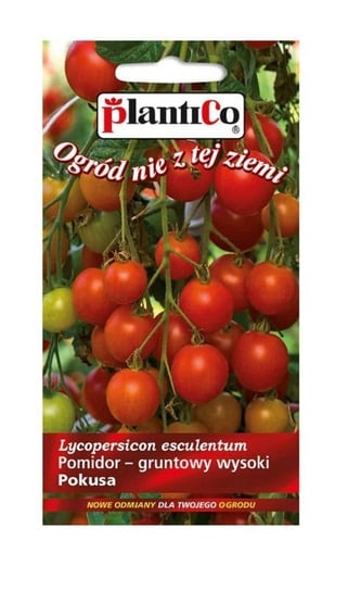 Pomidor gruntowy Pokusa 0,5 g Plantico - Inna marka | Sklep EMPIK.COM
