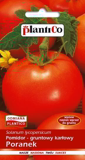 Pomidor Gruntowy Poranek 1g PlantiCo - PlantiCo | Sklep EMPIK.COM