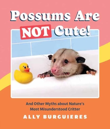 Possums Are Not Cute - Ally Burguieres | Książka w Empik