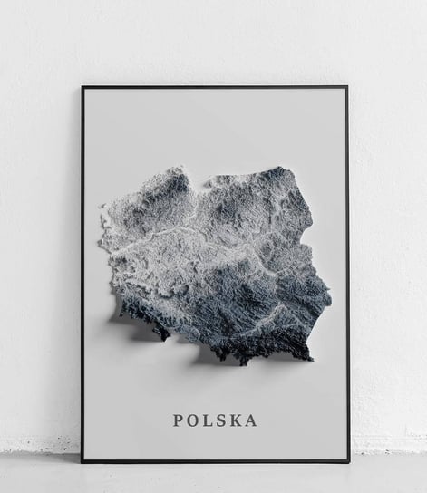 Poster Polytechnic, Polska mapa - plakat - szary - Poster Polytechnic ...