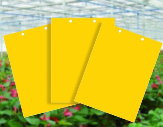 Pułapki na owady, 50 dwustronnych papierów samoprzylepnych, żółte ...