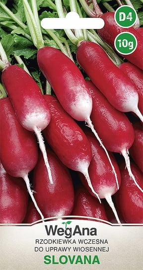 Rzodkiewka Slovana 10g nasiona - WegAna - WegAna | Sklep EMPIK.COM