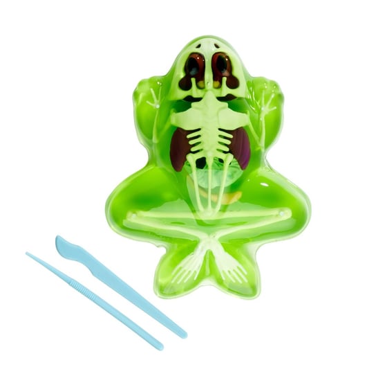 Scout Dissect-It Frosch - Simba | Sklep EMPIK.COM