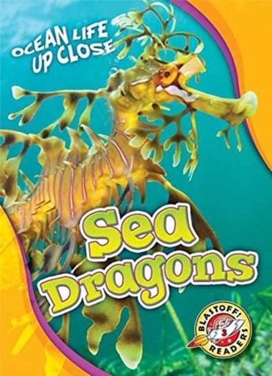 Sea Dragons - Heather Adamson | Książka w Empik
