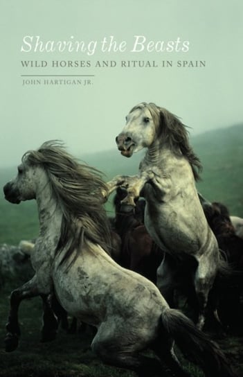 Shaving the Beasts: Wild Horses and Ritual in Spain - John Hartigan Jr. | Książka w Empik