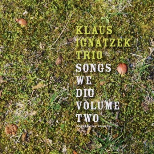 Songs We Dig Volume Two - Various Artists | Muzyka Sklep EMPIK.COM