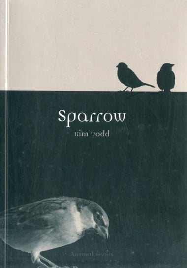 Sparrow - Kim Todd | Książka w Empik