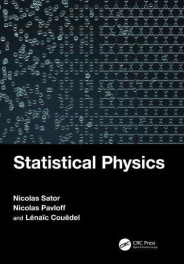 Statistical Physics - Nicolas Sator | Książka w Empik