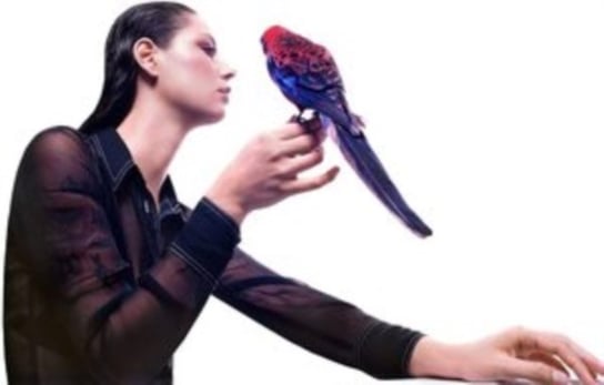 Storm Queen, płyta winylowa - Cummings Grace | Muzyka Sklep EMPIK.COM