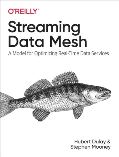 Streaming Data Mesh: A Model for Optimizing Real-Time Data Services - O'Reilly Media | Książka w ...
