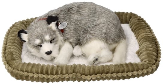 Szczeniaczek oddychający Alaskan Husky - Perfect Petzzz | Sklep EMPIK.COM