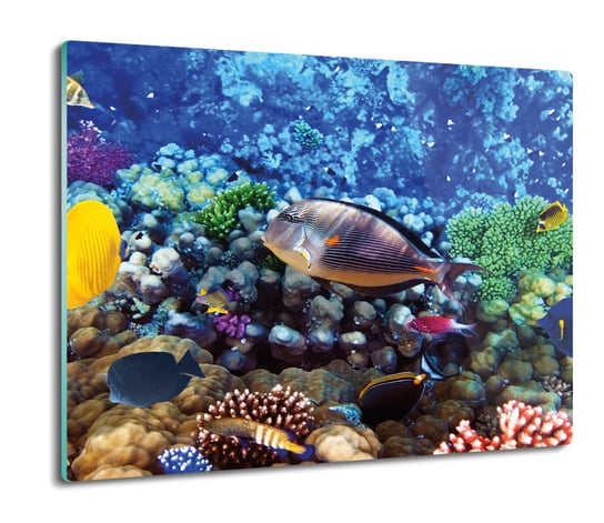 szklana osłona kuchenna Ryby rafa koralowa 60x52, ArtprintCave ...